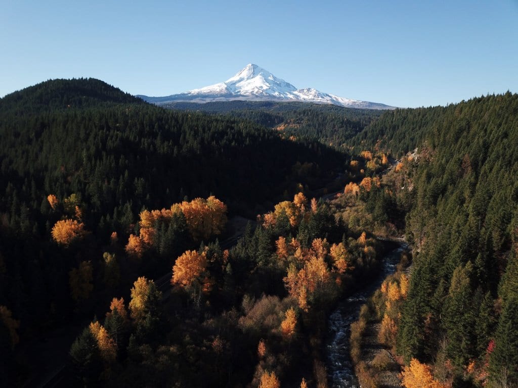 7 Pacific Northwest Fall Festivals You Won’t Want to Miss this Year ...