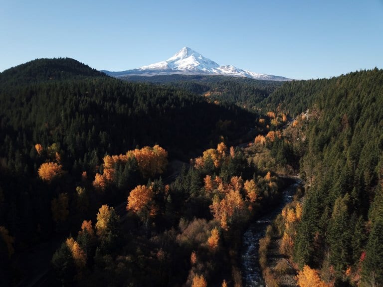 7 Pacific Northwest Fall Festivals You Won’t Want to Miss this Year ...