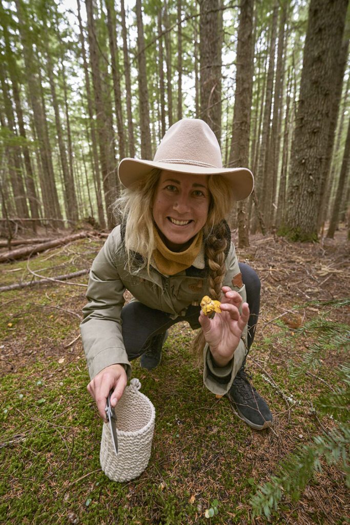 Exploring The Gifford Pinchot National Forest - ROAMERICA