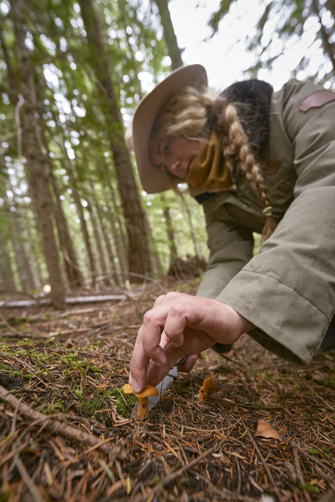 Exploring The Gifford Pinchot National Forest - ROAMERICA