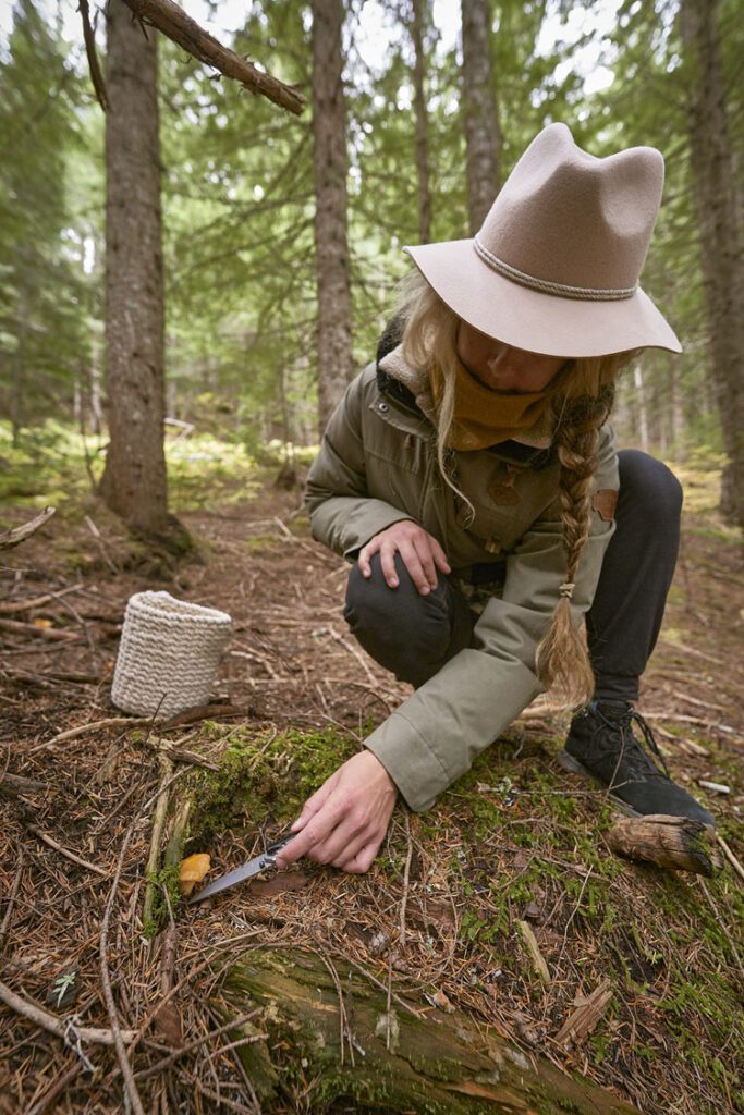 Exploring The Gifford Pinchot National Forest - ROAMERICA